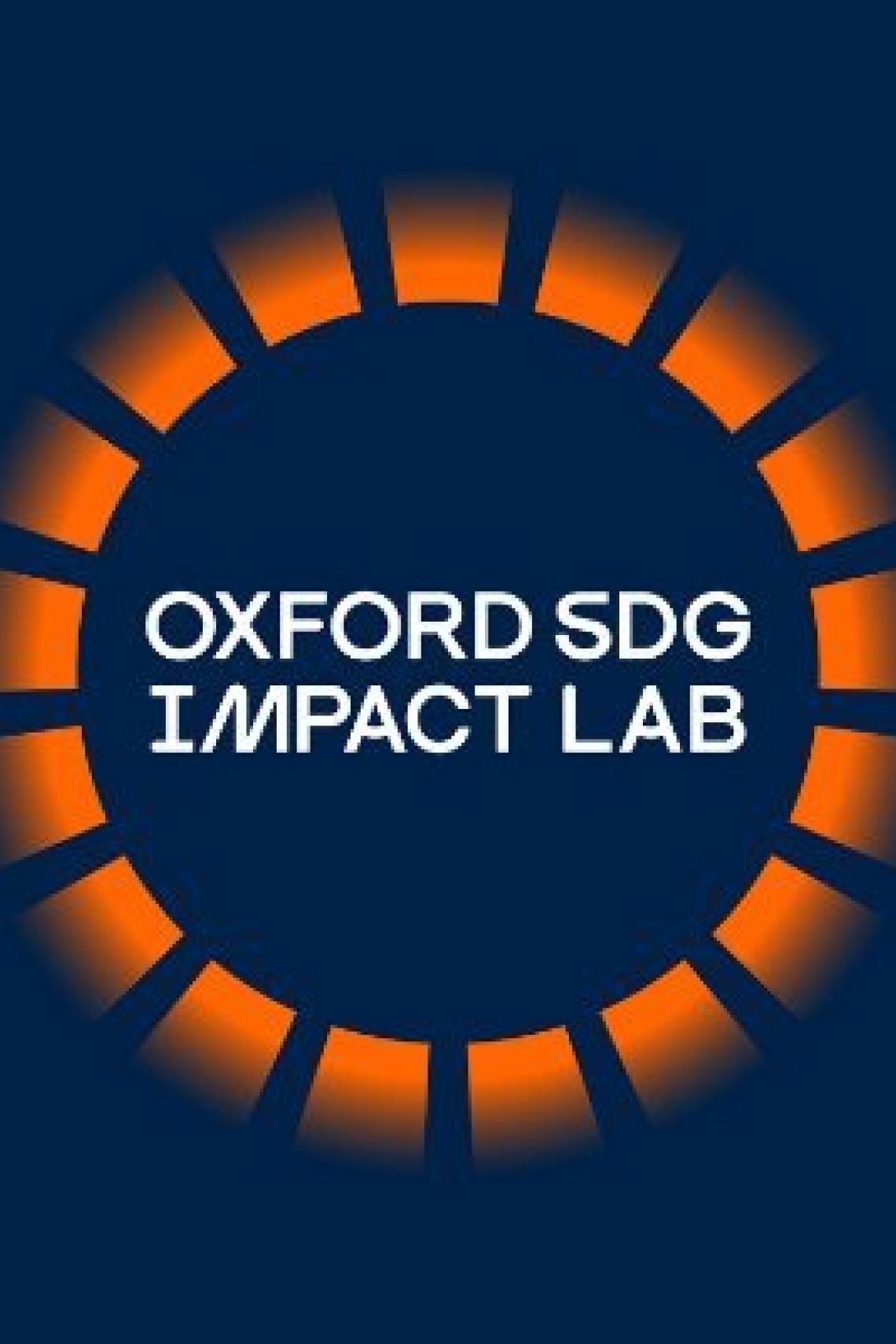 Ten ODID students chosen as new SDG Impact Lab Fellows | Oxford Department of International ...